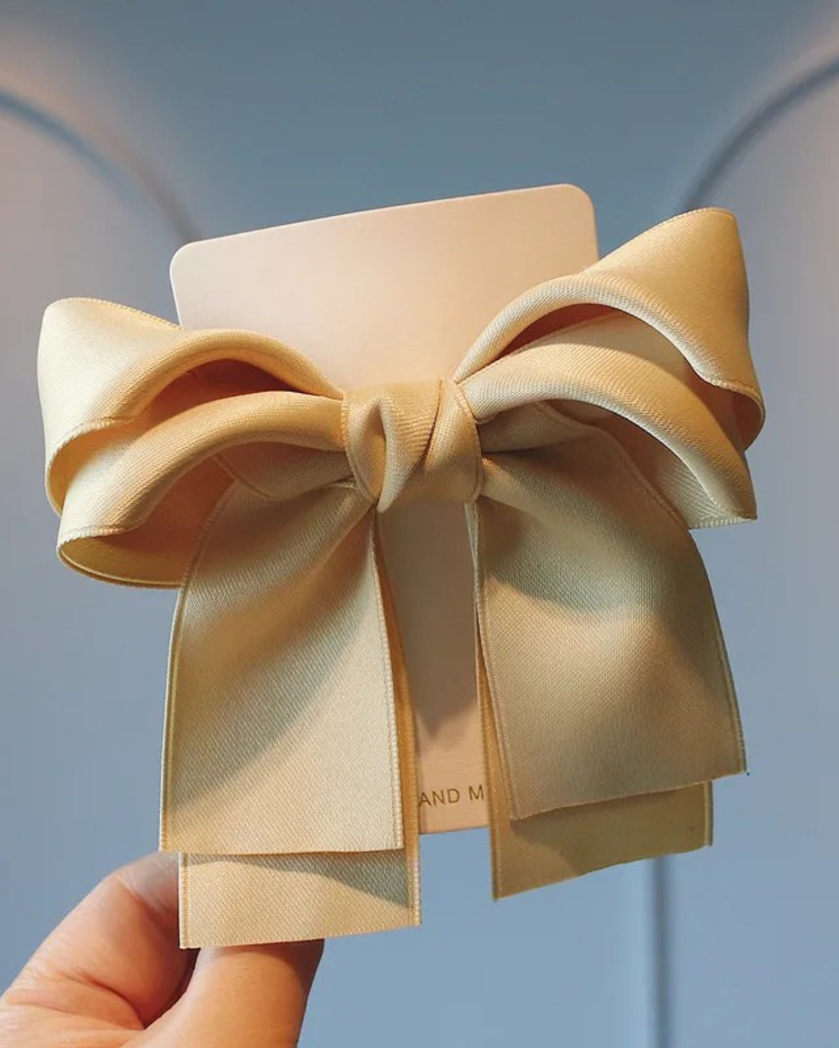 Double Loop Bow – The Exclusive Look